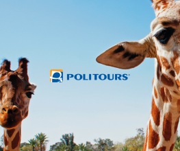 Catálogos - Aeromundo Internacional