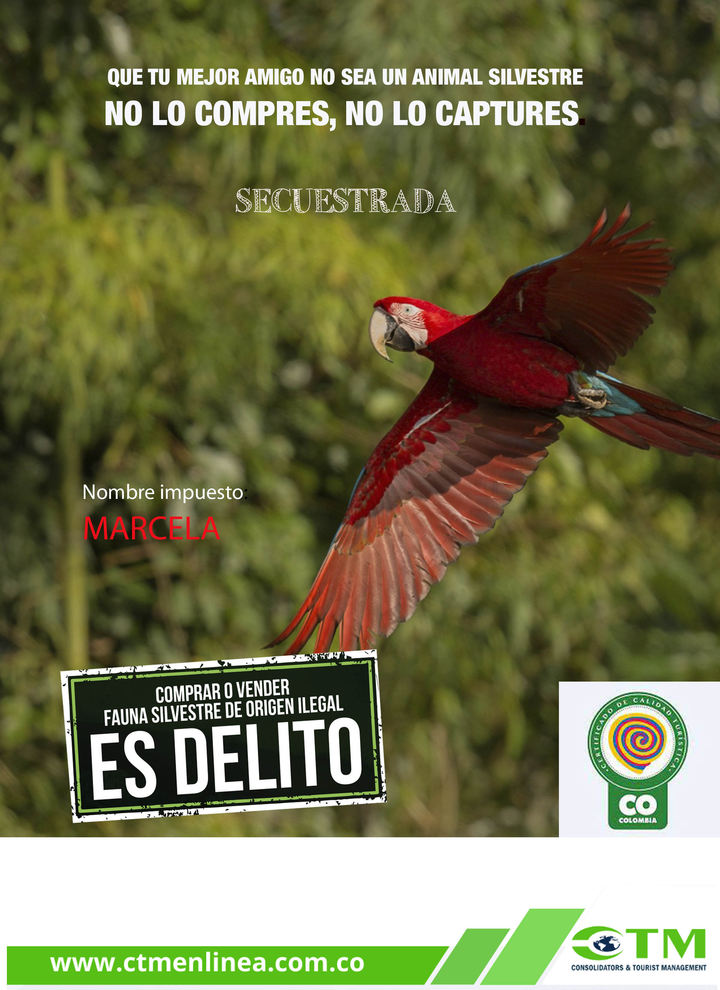 No animales en Cautiverio en el 2023 - CTM en Línea